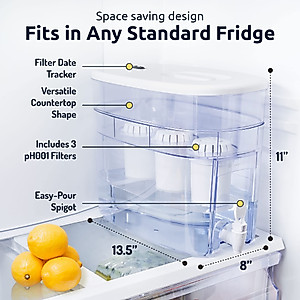 Invigorated Water pH Recharge 3F Countertop Alkaline Water Filter + PH001 3-Pack Replacement Water Filters Bundle