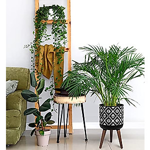 D'vine Dev 10 Inch Planter Pot with Stand, Mid-Century Tall Plant Pot with Legs for Indoor Plants, Medium, Charcoal Grey/White, 88-GM-M-GW