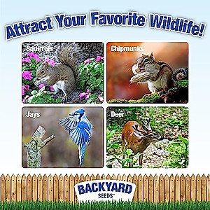 Backyard Seeds Squirrel & Friends Wildlife Chipmunk Food Mix 8 Pounds