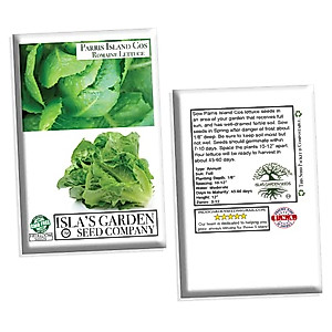 "Parris Island" Romaine Lettuce Seeds for Planting, 1000+ Heirloom Seeds Per Packet, (Isla's Garden Seeds), Non GMO, Botanical Name: Lactuca Sativa, Great Home Garden Gift