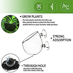 IAFVKAI 2pcs Aquarium Plant Cup Aquarium Decoration Aquatic Plant Pot with Suction Cups for Fish Tank Plant and 3-Tube Fish Shrimp Feeder Glass Breeding Tube