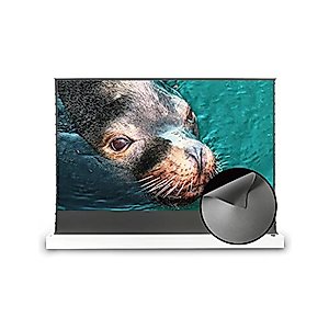 VIVIDSTORM-Projector Screen,Long Focus Ambient Light Rejecting Screen,White Housing Motorized Floor-Rising Projection Screen,Compatible with Lumen up to 2500ANSI of Normally Projector,VWSDSTALR84H