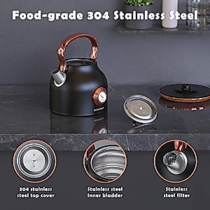 NESSGRAIM Retro Electric Kettle, 1.7L Stainless Steel Tea Kettle with Large Temperature Gauge, 1500W Fast Heating Hot Water Boiler with LED Indicator, Auto Shut-off & Boil-Dry Protection-Reteo Black