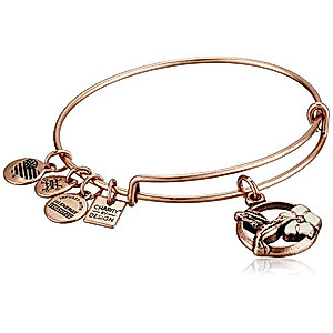 Alex and Ani Tokens Expandable Bangle for Women, Hummingbird Charm, Rafaelian Rose Gold Finish, 2 to 3.5 in