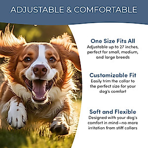 Flea and Tick Collar for Dogs and Cats- Long-Lasting 8-Month Protection Using Natural Plant-Based Oils - Safe for Pets, People and The Environment - 2-Pack Flea Collar for Dogs and Cats