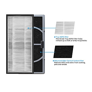 WOCASE A/D/H HEPA-Type Replacement Filter, Allergen Reduction + Odor Eliminator, Compatible with Compatible with Filtrete FAP-TT-ADH, HAP9423, Compare to Honeywell HPA060(BWM)