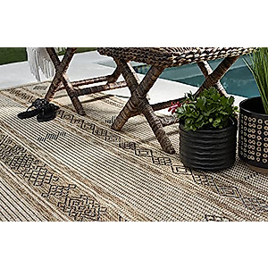 Momeni Hampton Transitional Indoor/Outdoor Area Rug, Natural, 4'1" X 6'