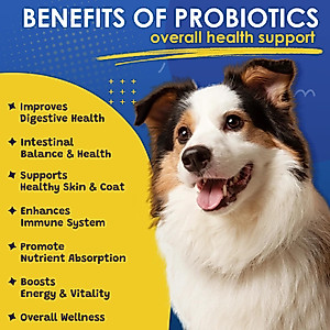 Probiotics for Dogs - Dog Probiotics for Digestive Health, Prebiotics, Enzymes, Fiber, and Omega-3 with Vitamins to Promote Intestinal Health, Support Immunity, Allergies & Itchy Skin, 120 Bites