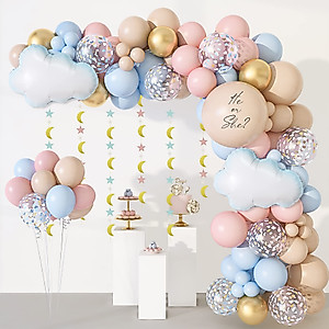 Amandir 185Pcs Gender Reveal Decorations, Double-Stuffed Pastel Pink and Blue Brown Nude Balloon Arch Kit White Cloud Hanging Moon&Star Garland Boho Neutral Boy or Girl Bear Baby Shower Party Supplies