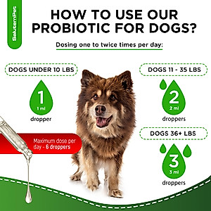 Probiotics for Dogs | Liquid Probiotics for Dogs | Prebiotic for Dogs & Digestive Enzymes | Puppy Probiotic | Dog Probiotics and Digestive Enzymes | 2 Oz