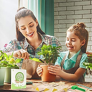 Flying Insect Trap Plug-in Fly Trap Indoor, Electric Mosquito Killer Indoor Gnat Catcher Fly Tapper with Night Light UV Attractant Catcher for Bedroom, Kitchen, Office