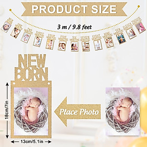 Whaline 1st Birthday Baby Photo Banner for Newborn to 12 Months, Monthly Milestone Photograph Bunting Garland, First Birthday Celebration Decoration (Champagne Gold)
