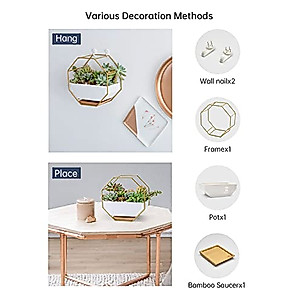 ChiRee Succulent Planters 7×3.5 Inch Decorative Ceramic Flower Plant Pots with Metal Holder Hanging and Place Dual-Purpose Garden Planter Pot with Drainage and Saucer for Indoor Home Office Desktop