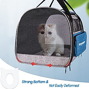 BurgeonNest Cat Carrier for Large Cats 20 lbs, Soft-Sided Pet Carrier for Small Dogs Medium Cats Under 25 lbs, Puppy Travel Bag with Big Storage Bag, 4 Ventilated Windows, 3 Doors