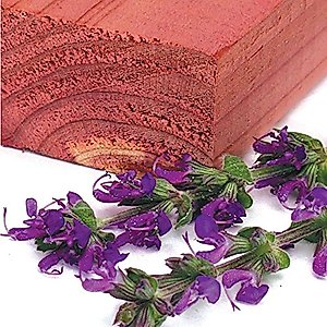 Household Essentials Fresh Cedar Blocks with Lavender Scent, Natural