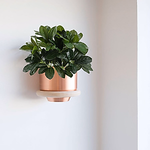 GTIDEA Artificial Shrubs Plants Fake Silk Schefflera Bushes Real Touch Faux Greenery Leaf Arrangements Indoor Outdoor Garden Office Home Table Centerpieces Wall Hanging Décor 2pcs