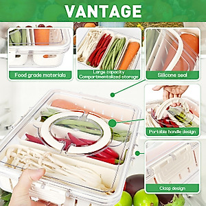 LOTOFUN Divided Serving Tray Container with Lid: Snackle Box Container Storage Organizer for Adults Snacks Fruits Vegetable Food for Fridge Kitchen Travel 4 Compartments