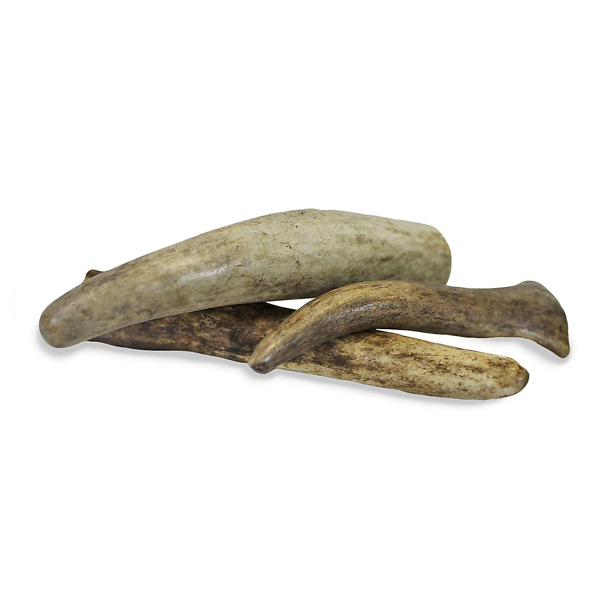 Exotic Nutrition Antler Chews - Safe Small Animal Chew - Natural Source of Healthy Minerals - Chinchilla, Hamster, Degu, Prairie Dog, Squirrel and Other Chewing Pets