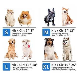 Protective Inflatable Collar for Dogs and Cats - Soft Recovery Pet Cone, E-Collar Does not Impede Vision Blue M