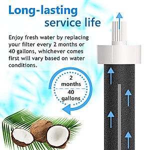 Water Bottle Filter Replacement for Brita BB06 Compatible with Brita Hard Sided and Sport Bottle Filter – BPA Free (10A Packs)