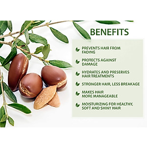 LuxeOrganix Moroccan Argan Oil Shampoo - SLS Sulfate Free, Keratin & Color Safe - Solon Grade Moisturizing Anti-Frizz Formula (16 oz Single Shampoo)