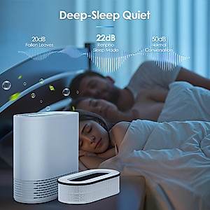 RP-AP068 Replacement Filter For RENPHO RP-AP068 Air Purifiers, 3-in-1 H13 Grade Ture Hepa Filters Compatible with RENPHO RP-AP068, 2 Pack