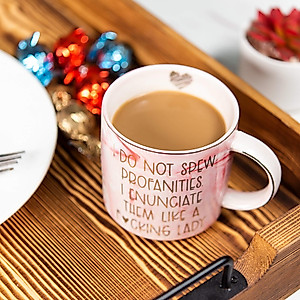 Funny Coffee Mug Gifts for Women - Sarcastic Novelty Gag Gift for Friends, Coworkers, Boss, Employee - Birthday Mugs for Mom, Sister, BFF - I Do Not Spew Profanities I Enunciate Them - 11.5oz Cup