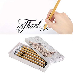 Comic Dip Pen Set, 5Pcs Calligraphy Dip Pen Set with 5 Nibs Wooden Handler Artist Cartoon Pen Set Cartoon Painting Tool Art Supplies Signature Pen Business Present(No.1‑5 Nib) Pens