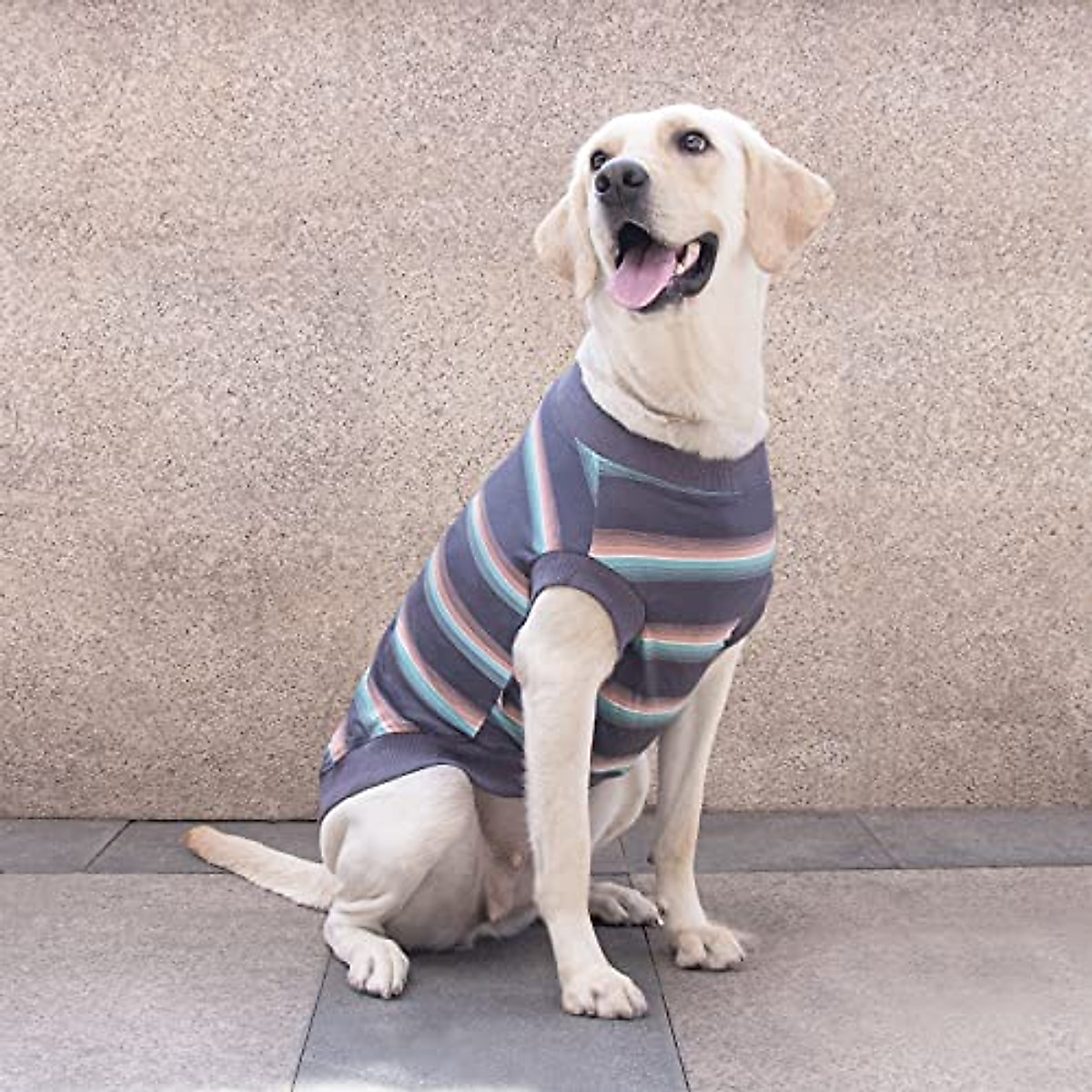 100% Cotton Striped Dog Shirt for Large Dogs, Stretchy Breathable Sleeveless Dog Clothes for Large Dogs, Surbogart by Xobberny Soft Lightweight Cool Pet T Shirt, Golden, 4X-Large