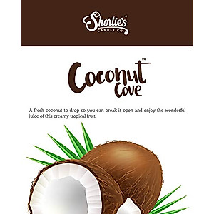 Coconut Cove Premium Tealight Candles Bulk Pack - 24 White Highly Scented Tea Lights - Beautiful Candlelight - Made in The USA - Fruit & Berry Collection