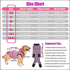 Dog Recovery Suit After Surgery,Dog Surgery Onesie Cone E-Collar Alternatives for Small Large Medium Cats Dogs,Spay Neuter Body Suit Pajamas for Male Female Dogs (Black Red Stripe, X-Large)