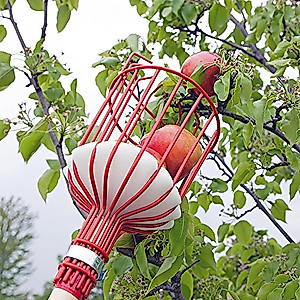 Home-X Fruit Picker Harvester Basket with Cushion to Prevent Bruising (Pole not Included)