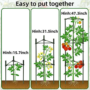 arbxvnr 3 Package up to 48in Tomato cage Garden Grid Plant Support Posts with Adjustable Tomato cage Vegetable Grid (3pack)