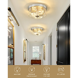 Emak 2-Light Brushed Nickel Ceiling Light Fixture, 11 Inch Flush Mount Light Fixture with Seeded Glass Shade for Bedroom, Living Room, Kitchen, Hallway, Bathroom, FM082-BN