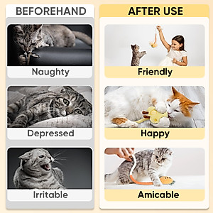 WONOWPA 2Pcs Catnip Chew Toys for Cats, Cat Rope Toys with Catnip Inside and Plush Toy, Interactive Catnip Teething Toys for Kittens