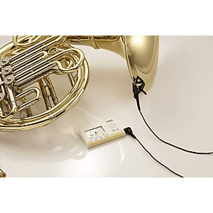 Korg CA-2 Chromatic Tuner (CA2)