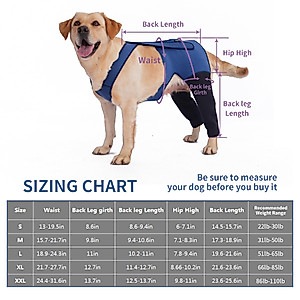 Dog Hind Leg Recovery Sleeve Dog Recovery Suit as Cone Collar Alternative, 2.5mm Thick and Waterproof, Prevent Pet Wounds Licking, Biting (XLarge)