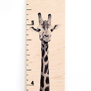 Headwaters Studio Animals Growth Chart for Kids - Baby Height Chart Height Tracker Kids Wooden Growth Chart for Wall Grow Chart Height Chart for Kids Safari Nursery, Tall Giraffe-46 x75 x.25