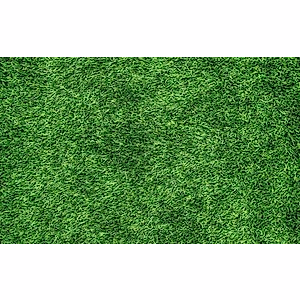 Hancock Seed Co. LaPrima Bermuda Grass Seeds 10 lbs.