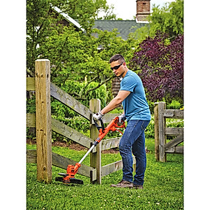 BLACK+DECKER String Trimmer, Electric, 14-inch (BESTE620)