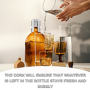 BLMHTWO 2 Pieces Champagne Stoppers, Bottle Sealer for Champagne Wine Bottle Stopper with a Longer Sealing Plug Stainless Steel Sliver Champagne Stopper for Most Sparkling Bottle