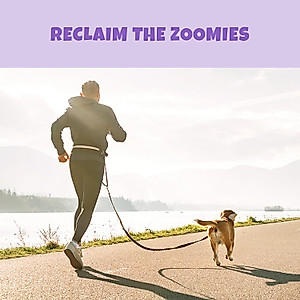 Petipet Hip and Joint Supplement for Dogs - Glucosamine and Tumeric Treats - Anti-Inflammatory Chews for Joint Health Support, Arthritis, Pain Relief - For Large and Small Breeds, Senior Dogs, Puppies