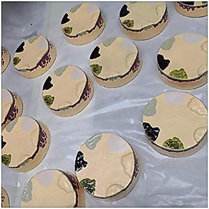 Anatomy Model Human Skin - Skin Enlarged Anatomy Model - Medical Anatomical Skin Structure Model Medical Teaching Model - for Medical Educational Aid