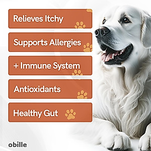 Obille Allergy Aid for Dogs 160 Chews 12 oz – Relieves Itchy Skin, Healthy Coat, Safe Natural Ingredients, Antioxidant Immunity Booster with Omega3 & Turmeric