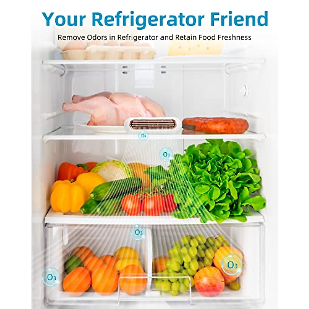 SEANCHEER Fridge Deodorizer, Mini USB-C Rechargeable Reusable Refrigerator Deodorizer, Refrigerator Odor Eliminator with Hook Lanyard for Fridge Wardrobe Shoes Cabinet