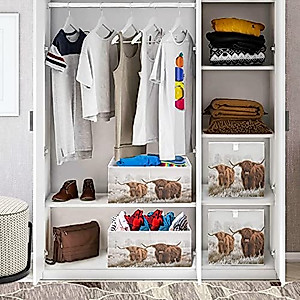 Highland Cow Storage Baskets for Shelves Foldable Collapsible Storage Box Bins with Waterproof Fabric Closet Organizers for Pantry Clothes Storage Toys, Books, Home, Office,16 x 11inch