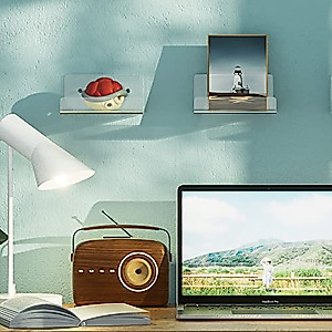 Weronique 2-Pack Wall Shelves Small Adhesive Floating Shelves Acrylic Hanging Shelves Display Ledges with 2 Types of Installation, Clear