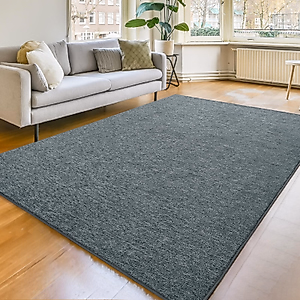 Amearea Modern Soft Area Rug, Chic Color Washable Rugs for Living Room, Home Decor Fluffy Carpet, Cute Accent Kids Rugs for for Bedroom Nursery Dorm Indoor Room Decor, Grey Green, 4x6 Feet