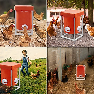 Chicken Feeder and Waterer Combo, 17.6LBS Four Chicken Feeder Ports & 2.64 Gallon Four Automatic Fill Waterer Cups Birds Poultry Feeding Equipment for up to 20 Adult Chickens