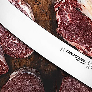 Dexter-Russell 12" Cimeter Style Steak Cutter, S132-12PCP, SANI-SAFE series, Multicolor